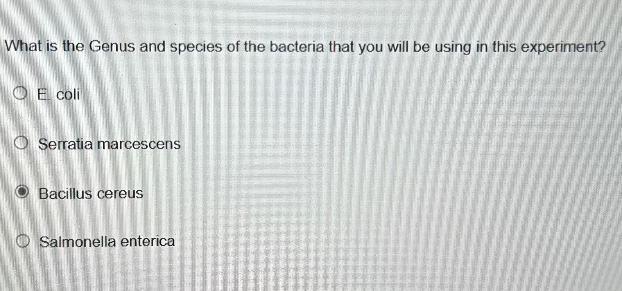 Solved What is the Genus and species of the bacteria that | Chegg.com