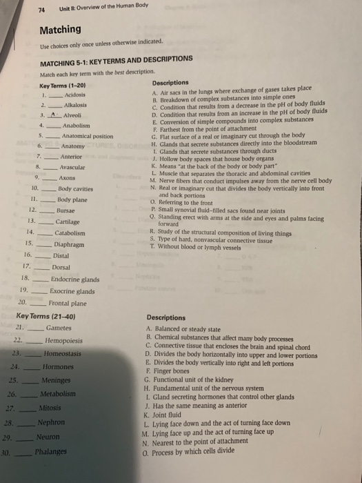 Solved 74 Unit It Overview of the Human Body Matching Use | Chegg.com