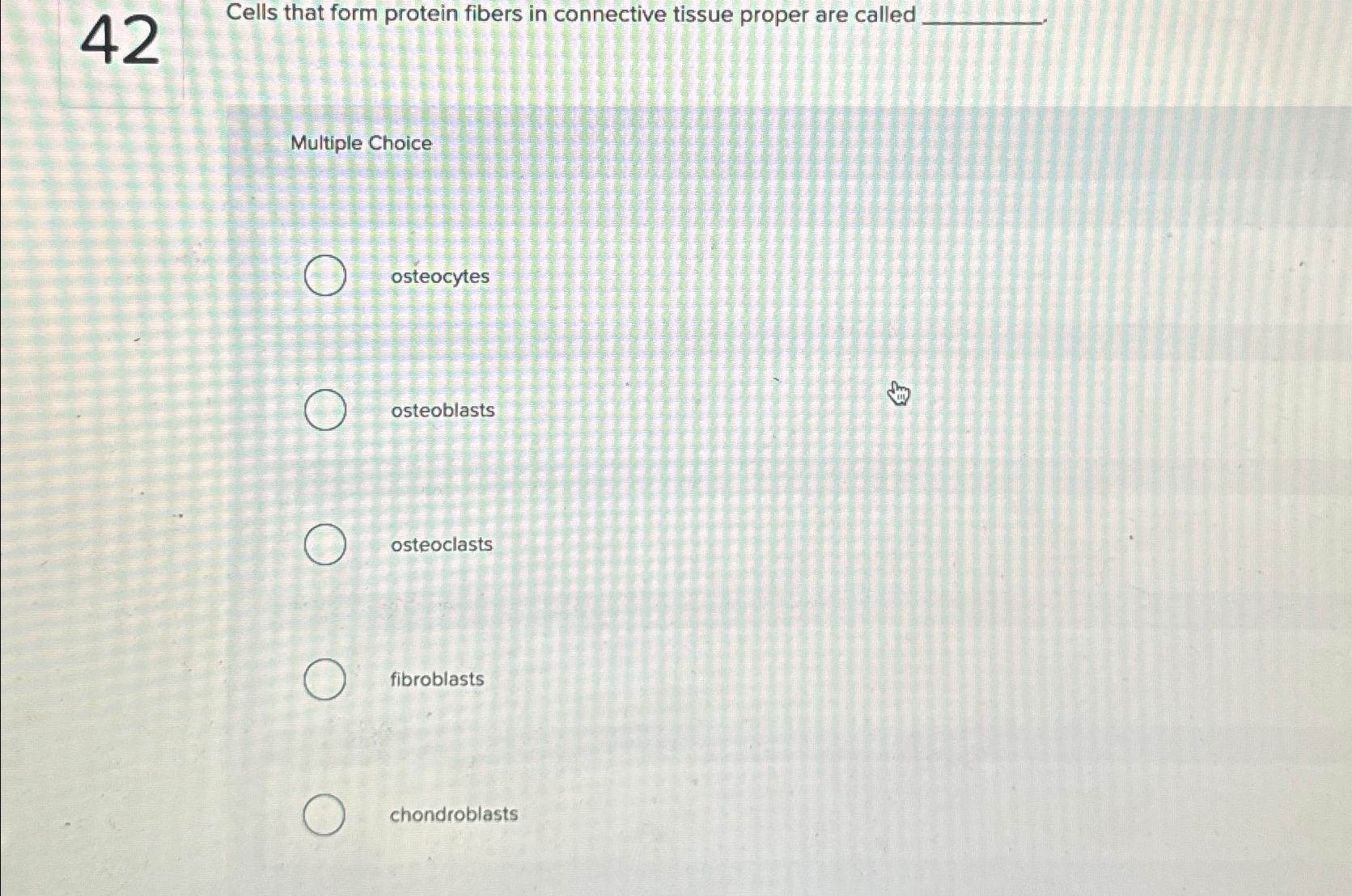42Cells that form protein fibers in connective tissue | Chegg.com