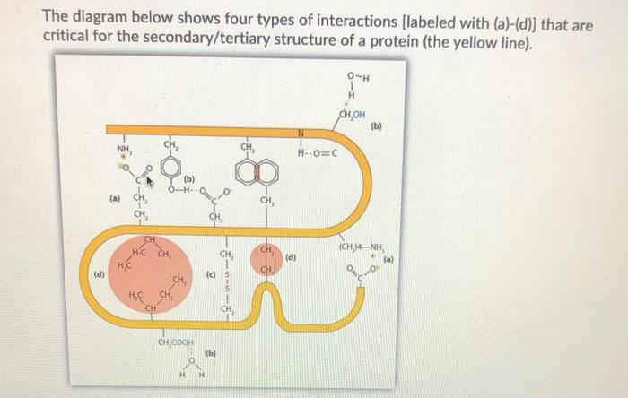 Solved The diagram below shows four types of interactions | Chegg.com