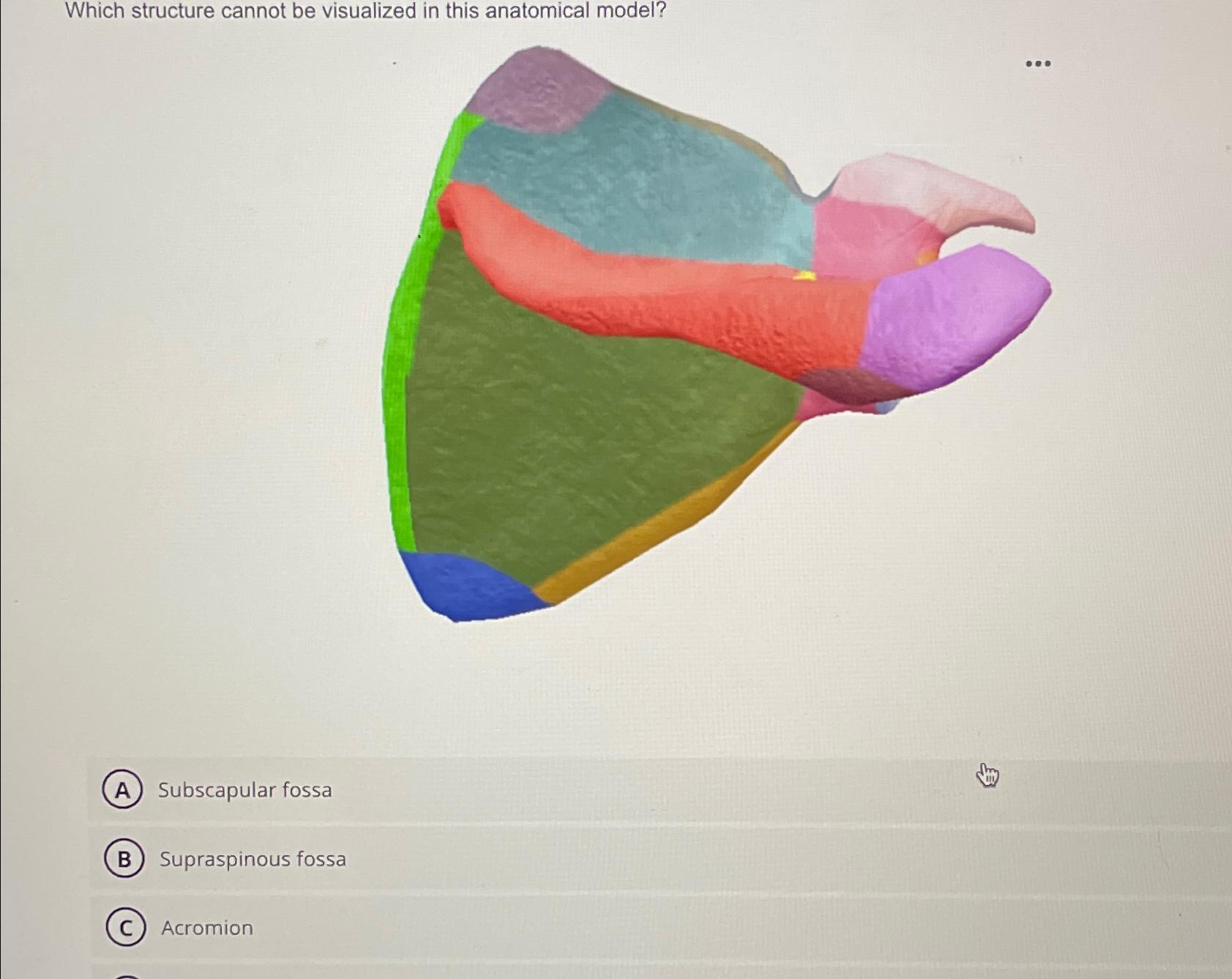 Solved Which structure cannot be visualized in this | Chegg.com