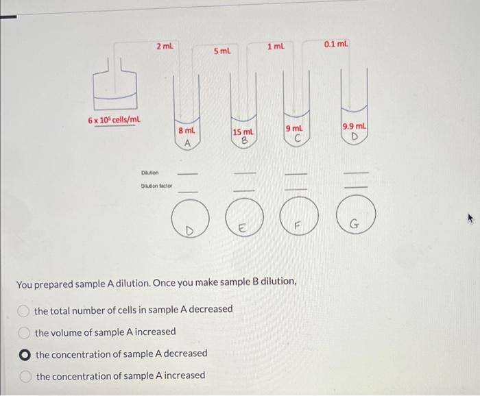 Solved You prepared sample A dilution. Once you make sample | Chegg.com