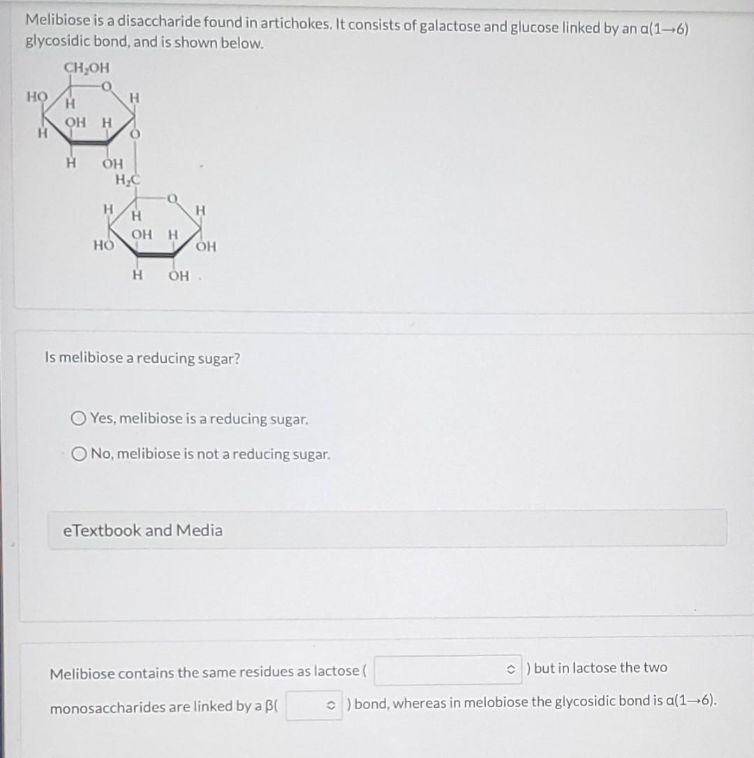Solved Melibiose is a disaccharide found in artichokes. It | Chegg.com