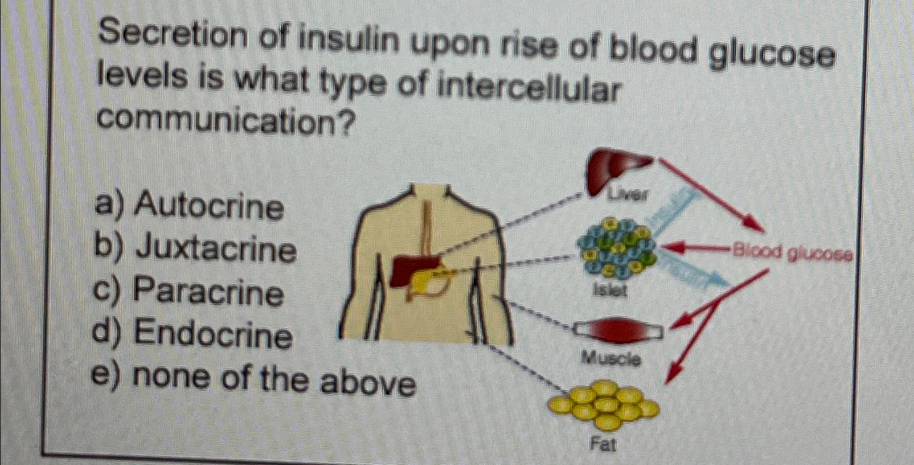Solved Secretion of insulin upon rise of blood glucose | Chegg.com