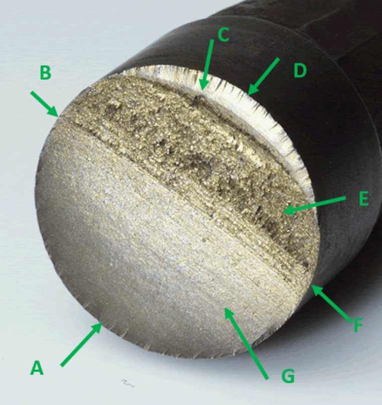 Solved 1. ﻿At what site(s) ﻿shown by arrows did the fatigue | Chegg.com