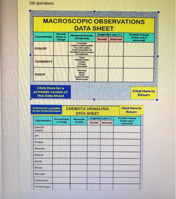 lab questions. MACROSCOPIC OBSERVATIONS DATA SHEET | Chegg.com