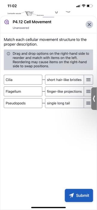 Solved Drag and drop options on the right-hand side to | Chegg.com