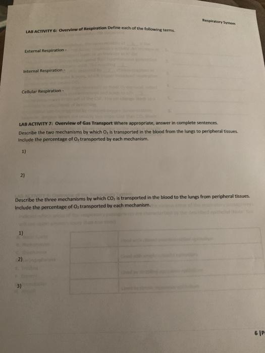 Solved Respiratory System LAB ACTIVITY 6: Overview of | Chegg.com