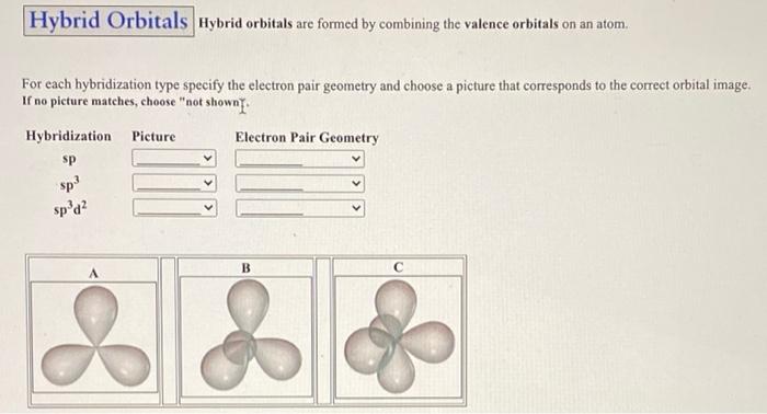 Solved Hybrid Orbitals Hybrid orbitals are formed by | Chegg.com