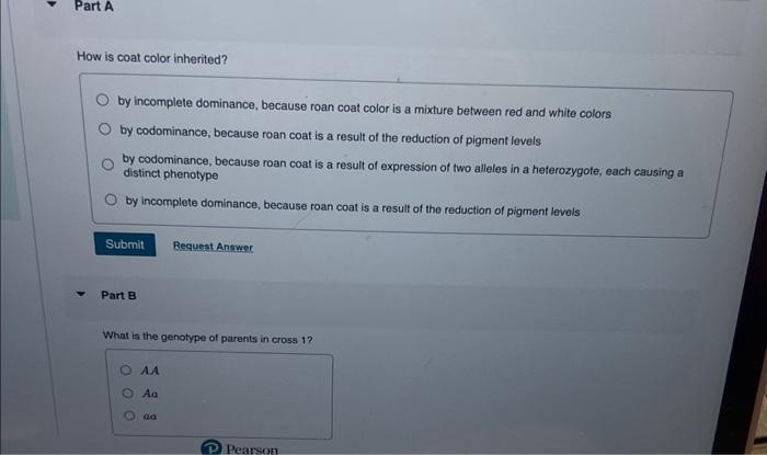 How is coat color inherited? by incomplete dominance, | Chegg.com