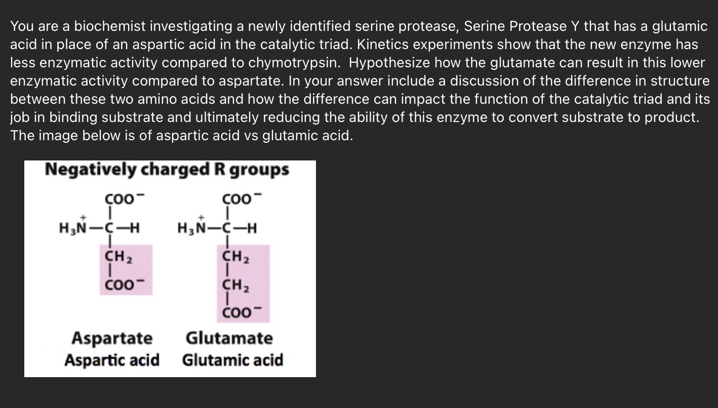 Solved You are a biochemist investigating a newly identified | Chegg.com