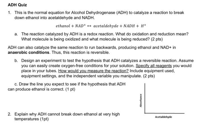 Solved ADH Quiz 1. This is the normal equation for Alcohol | Chegg.com