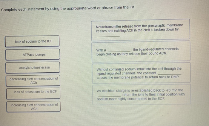 Solved Complete each statement by using the appropriate word | Chegg.com