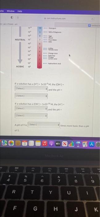 Solved arks Window iz: Lab 4 Prelab - pH 10 } $ 4 NEUTRAL | Chegg.com