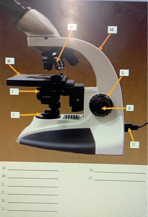 Solved Label the parts of the microscope. A B LEICA E с D D | Chegg.com