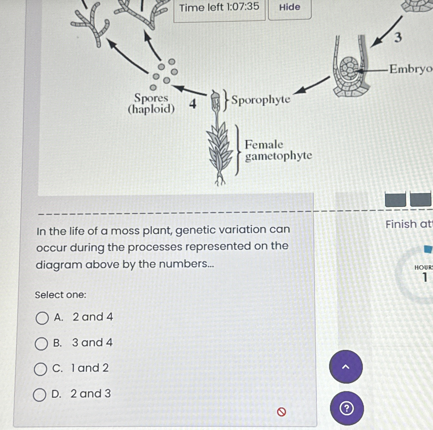 Solved In the life of a moss plant, genetic variation | Chegg.com
