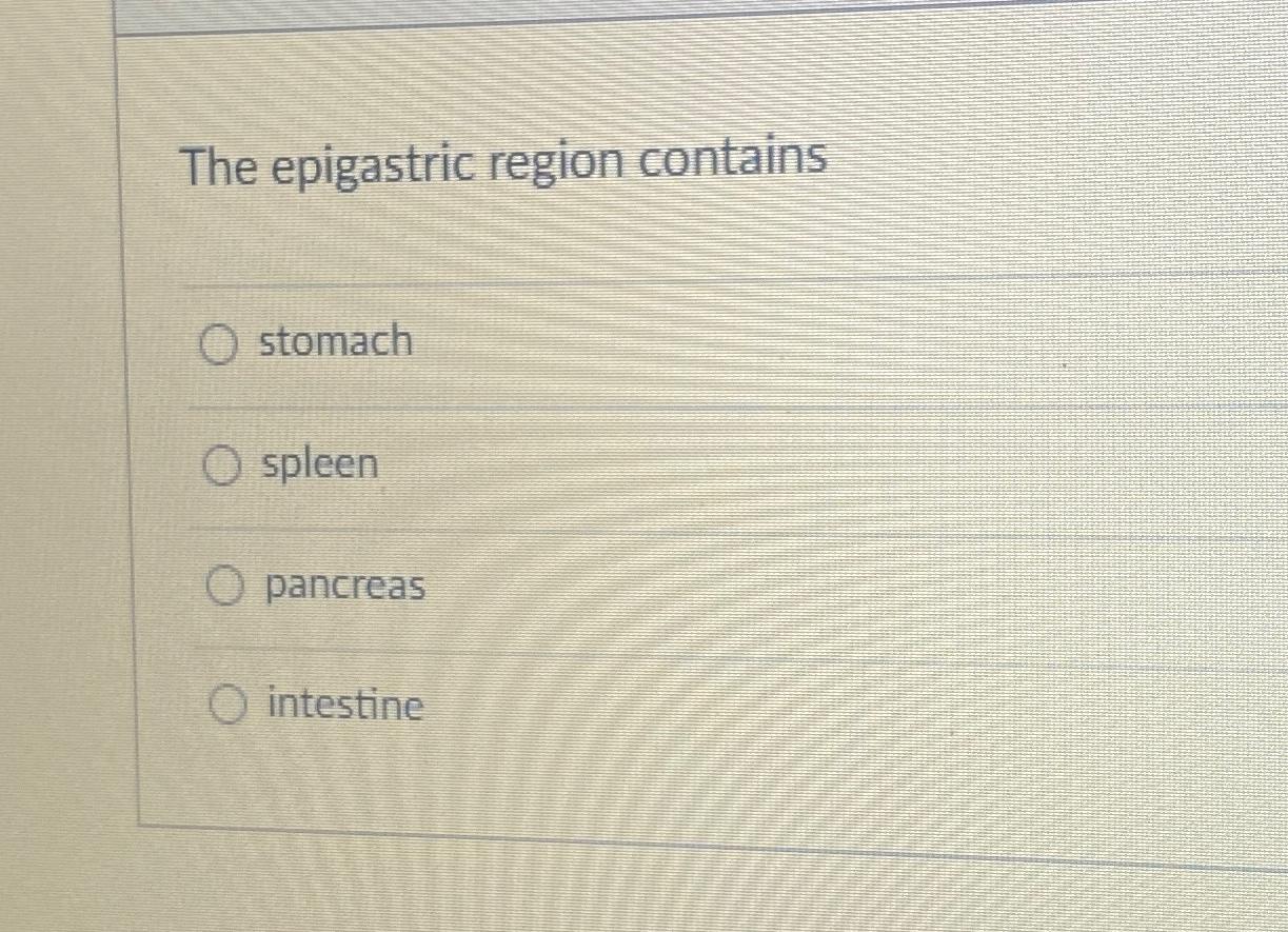 Solved The epigastric region | Chegg.com