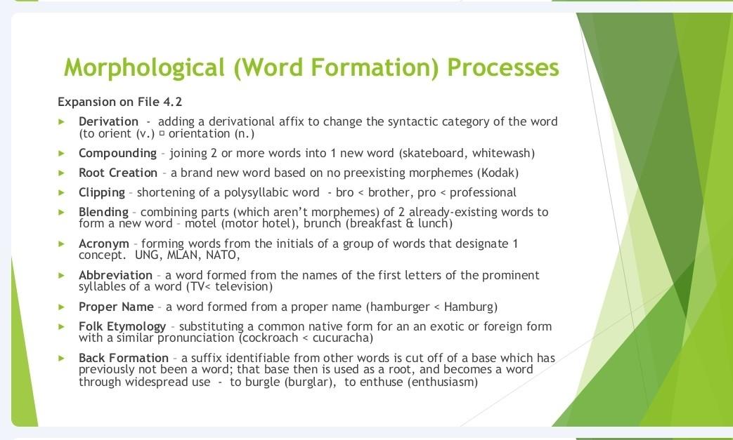 Morphological Processes - Formation of Words | Chegg.com