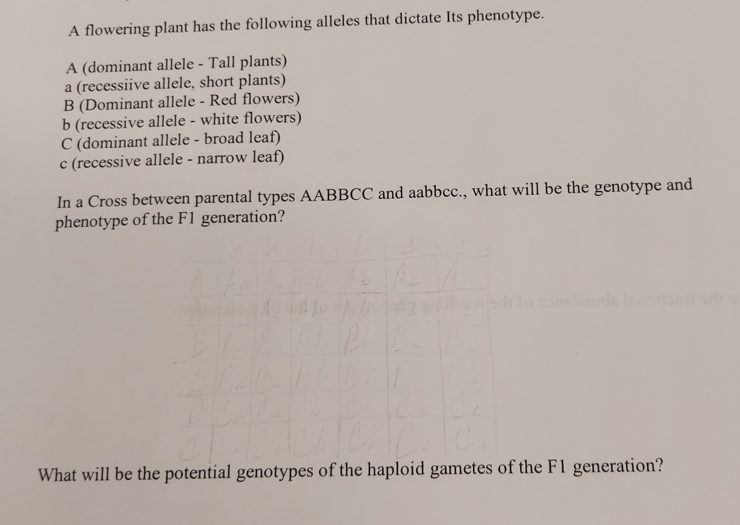 Solved A flowering plant has the following alleles that | Chegg.com