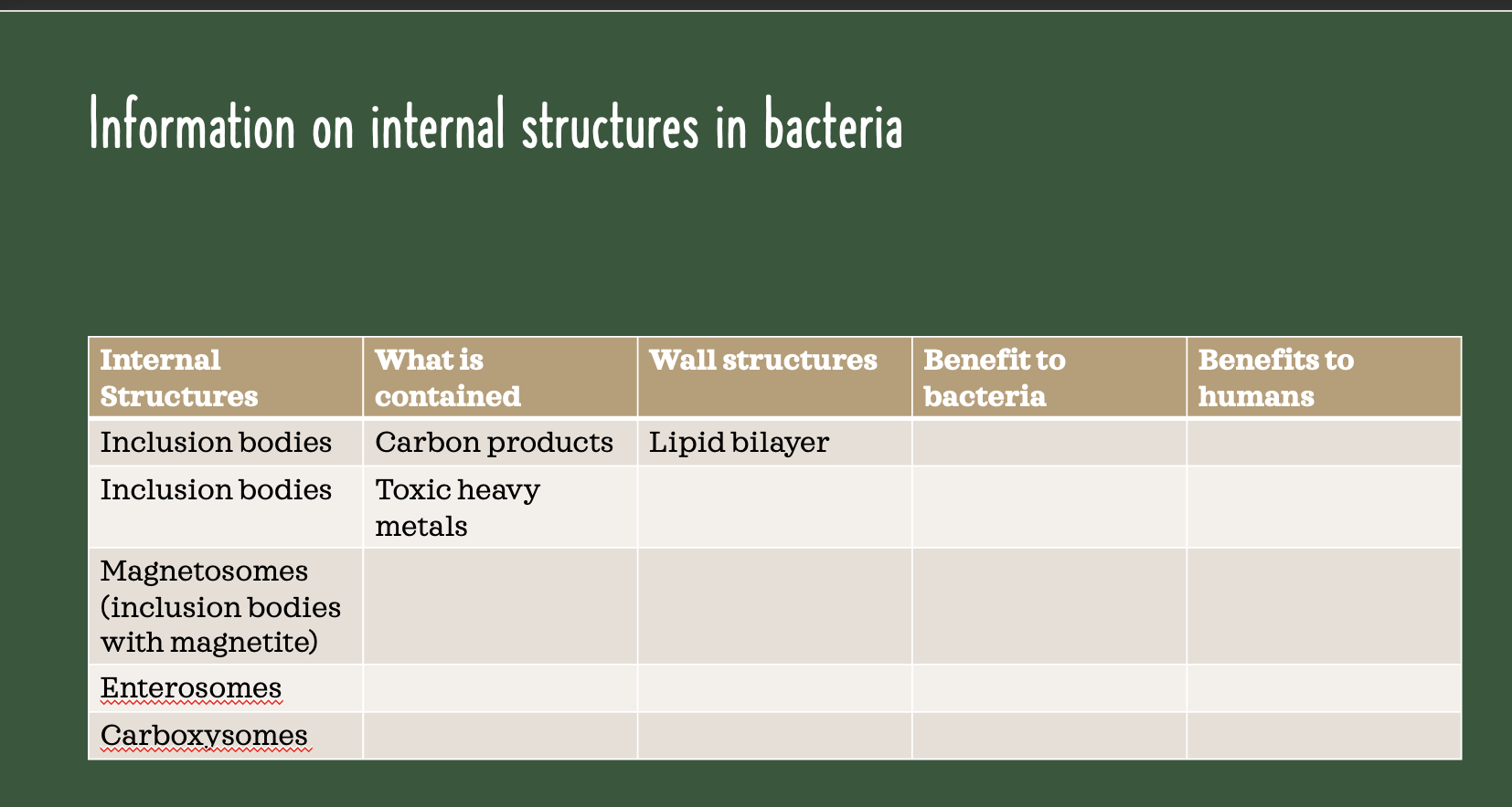 Solved Information on internal structures in bacteria, fill | Chegg.com