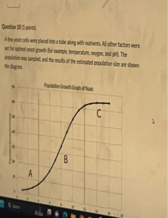Solved 4) Ther are thre: distind phases shown in the | Chegg.com
