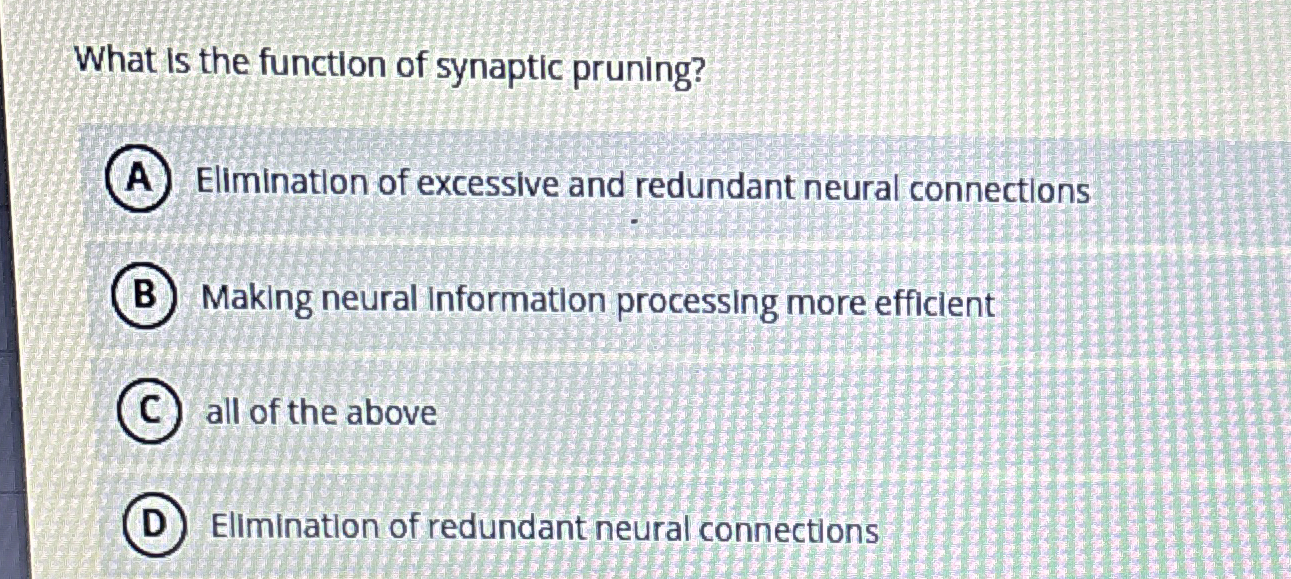 Solved What is the function of synaptic pruning?A | Chegg.com