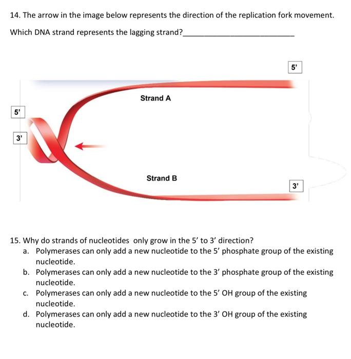 Solved 14. The arrow in the image below represents the | Chegg.com