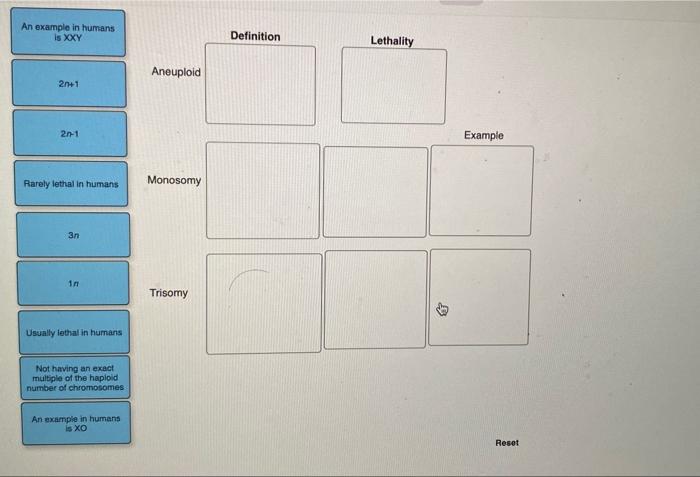 Solved An example in humans is XXY Definition Lethality | Chegg.com