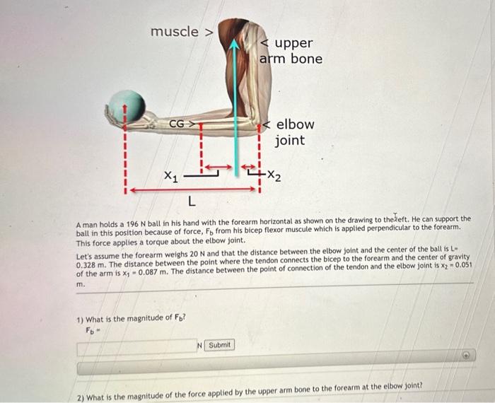 Solved A man holds a 196 N ball in his hand with the forearm | Chegg.com