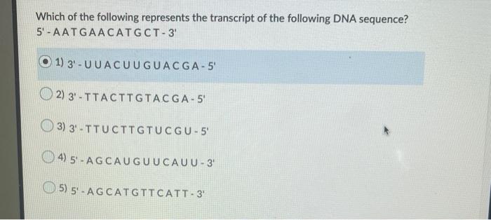 Solved Which of the following represents the transcript of | Chegg.com