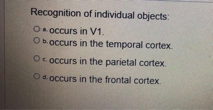 Solved Recognition of individual objects: O a. occurs in V1. | Chegg.com