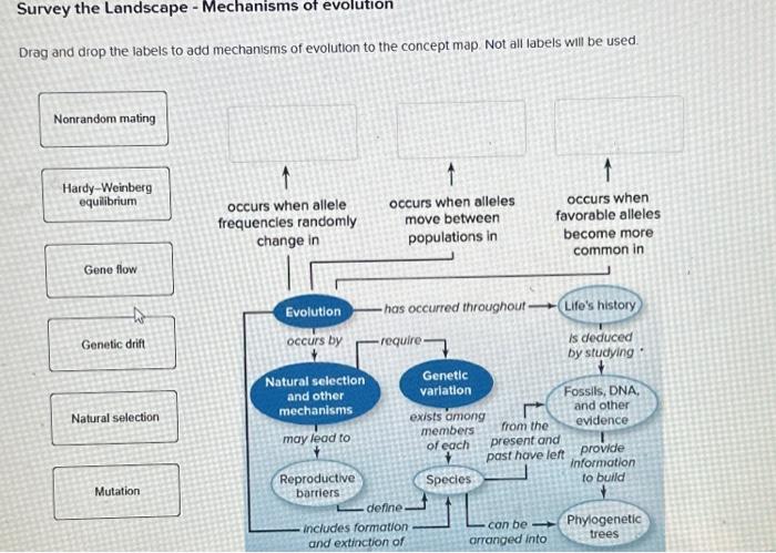 Solved Survey the Landscape - Mechanisms of evolution Drag | Chegg.com Solved Survey the Landscape - Mechanisms of evolution Drag | Chegg.com