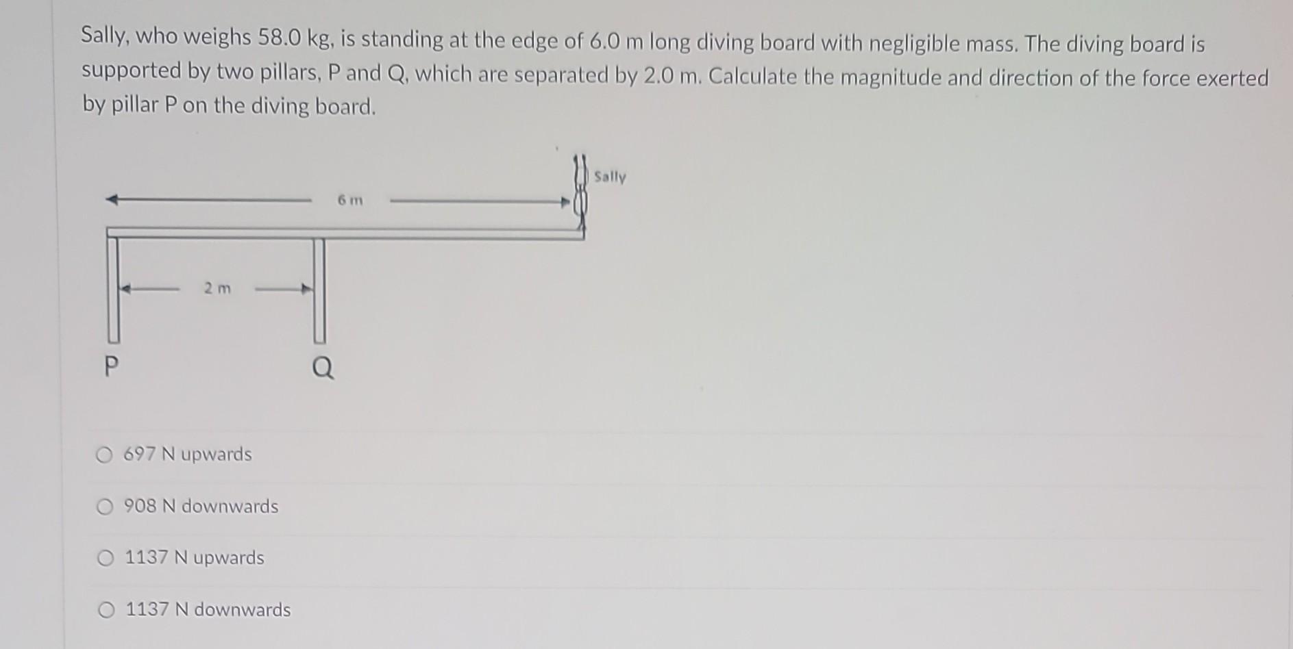 Solved Sally, who weighs 58.0 kg, is standing at the edge of | Chegg.com