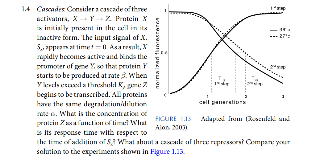 Solved Pulse of activation: Consider the cascade of Exercise | Chegg.com