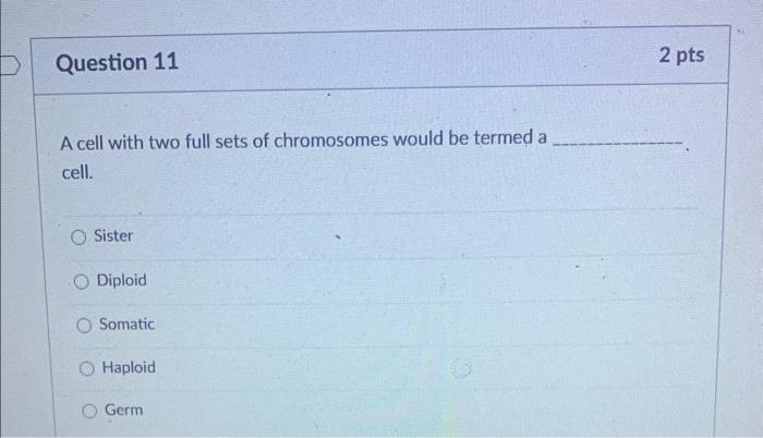 Solved A cell with two full sets of chromosomes would be | Chegg.com