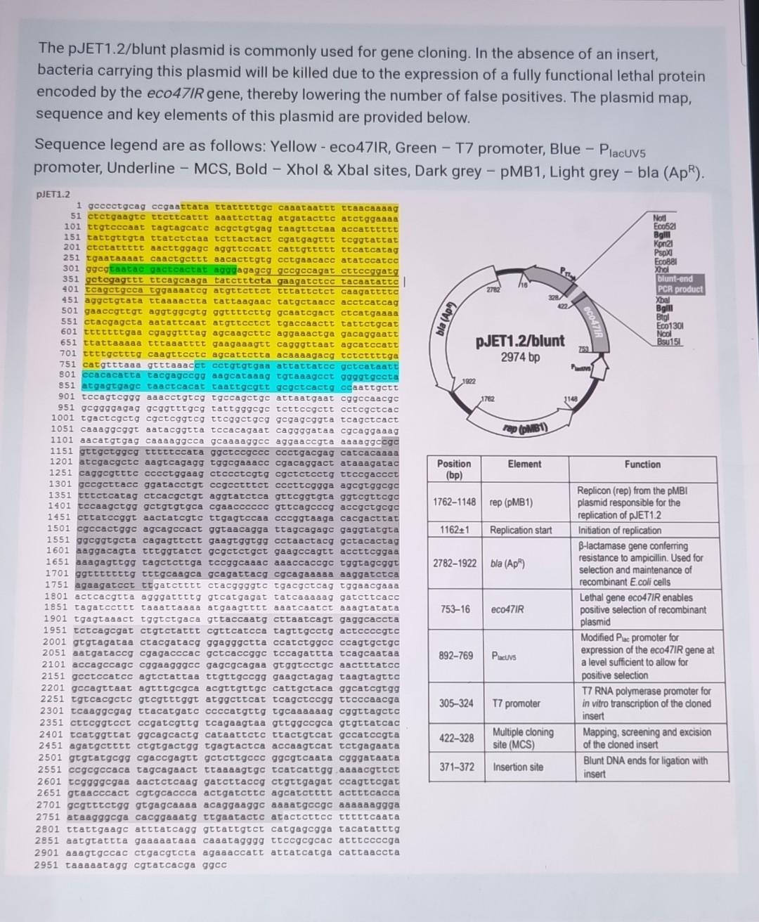 Solved The pJET1.2/blunt plasmid is commonly used for gene | Chegg.com