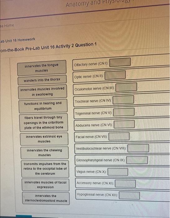 Solved Which cranial nerves pass through each structure? | Chegg.com