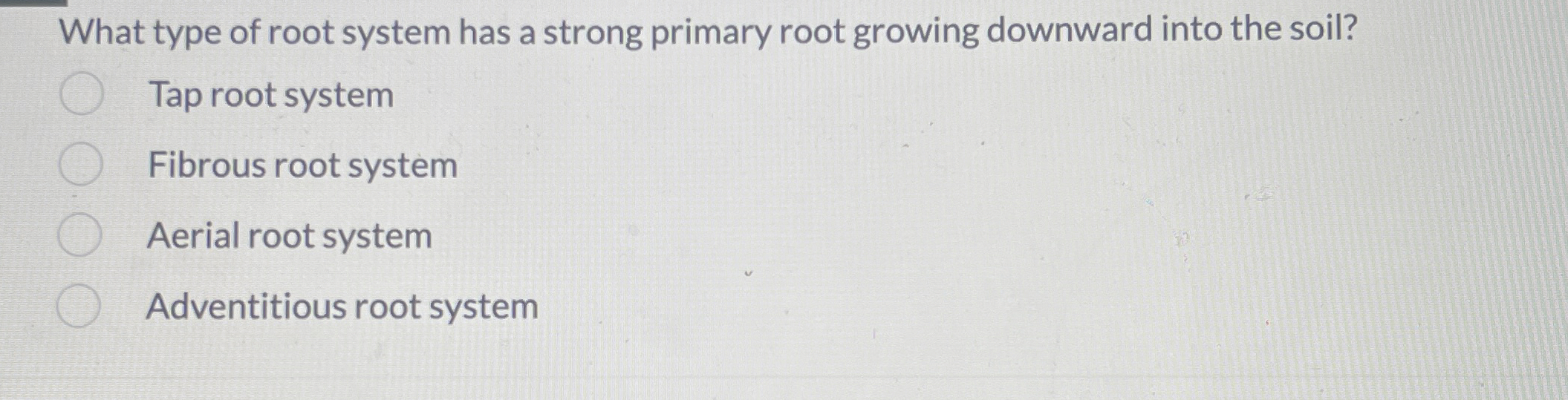 Solved What type of root system has a strong primary root | Chegg.com