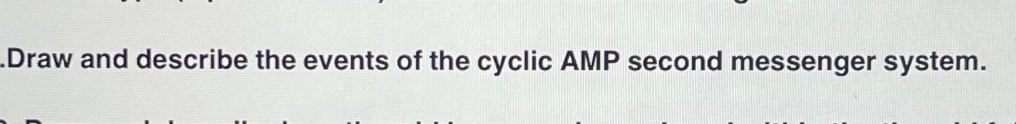Solved Draw and describe the events of the cyclic AMP second | Chegg.com
