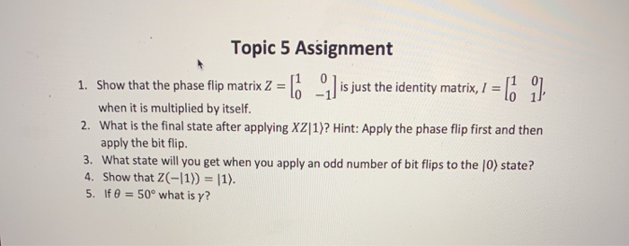 Solved Topic 5 Assignment 1. Show that the phase flip matrix | Chegg.com