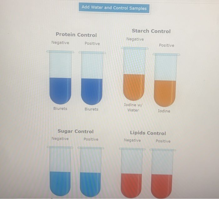 Solved OVERVIEW In this lab you will design an experiment to | Chegg.com