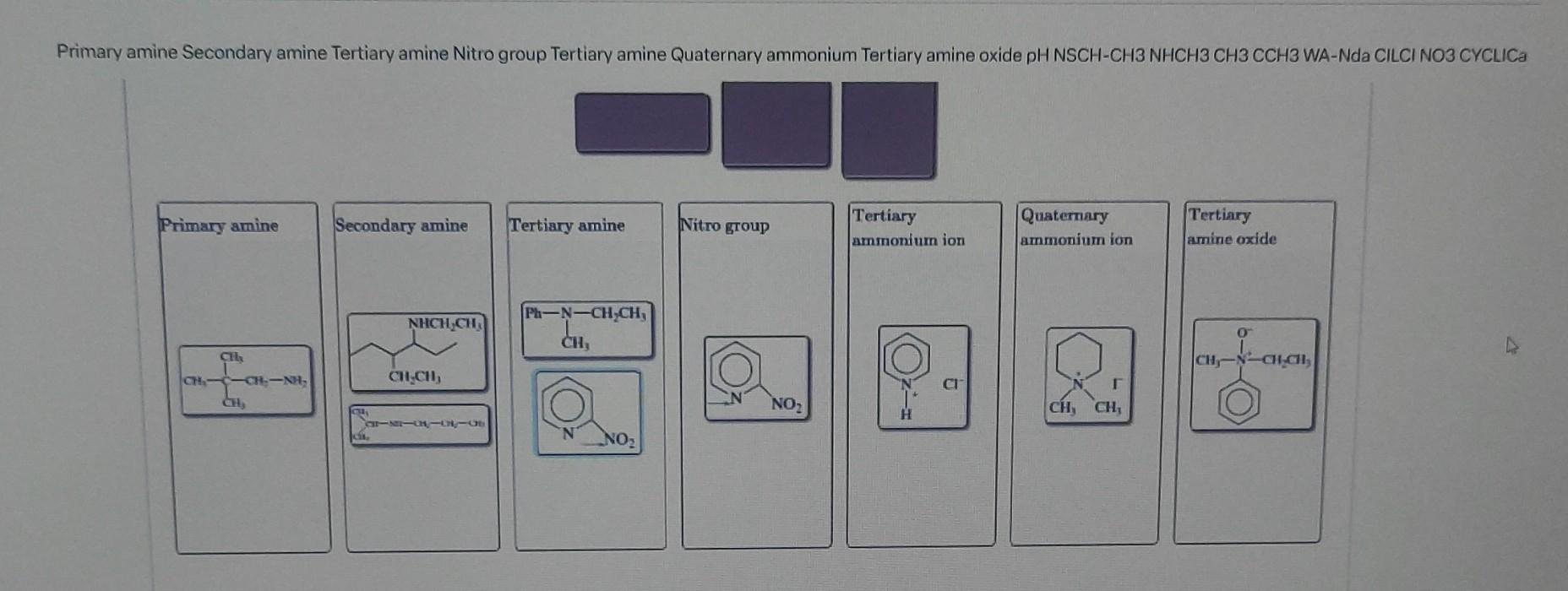 Solved Primary amine Secondary amine Tertiary amine Nitro | Chegg.com