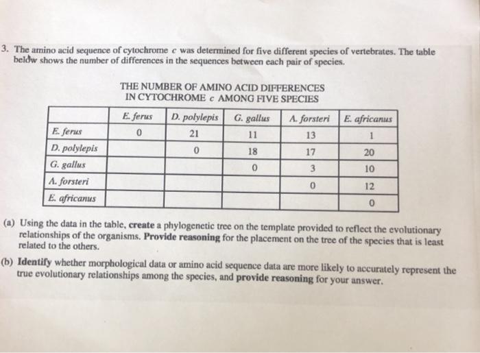 Solved 3 The Amino Acid Sequence Of Cytochrome C Was
