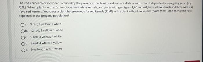 Solved The red kernel color in wheat is caused by the | Chegg.com