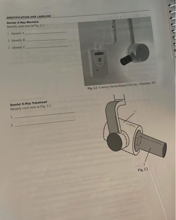Solved IDENTIFICATION AND LABELING Dental X-Ray Machine | Chegg.com Solved IDENTIFICATION AND LABELING Dental X-Ray Machine | Chegg.com