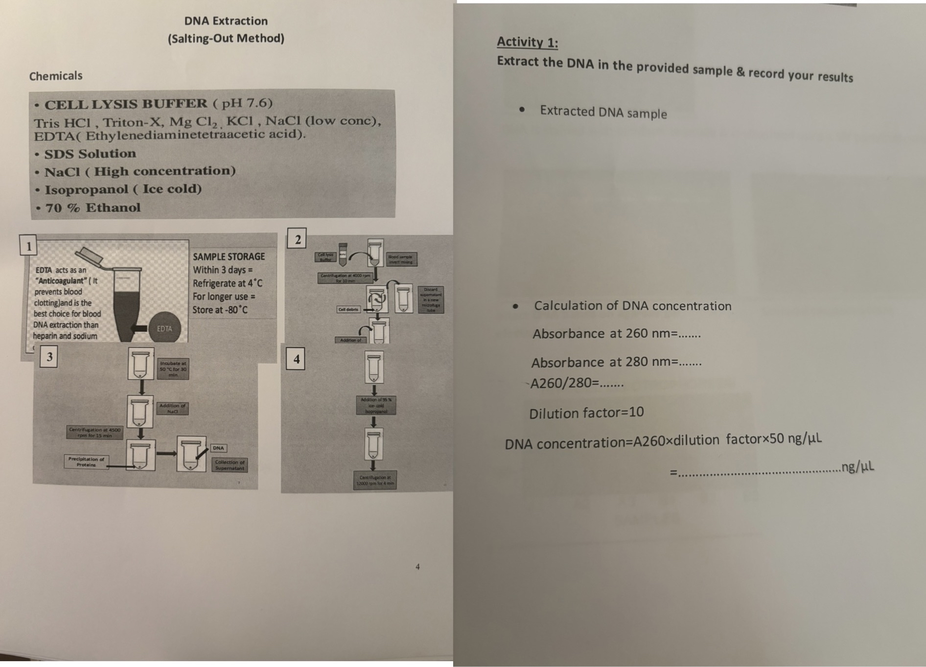 Solved DNA Extraction(Salting-Out Method)ChemicalsCELL LYSIS | Chegg.com