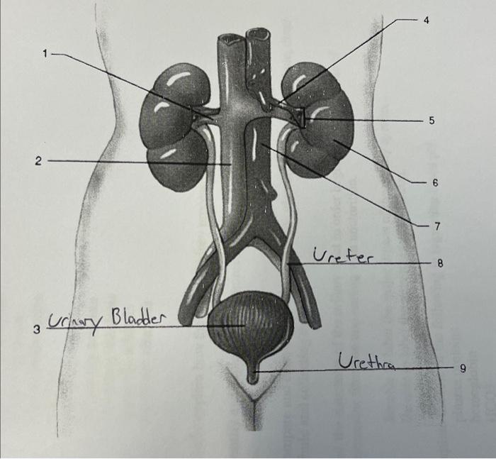 Solved could someone help me finish this | Chegg.com