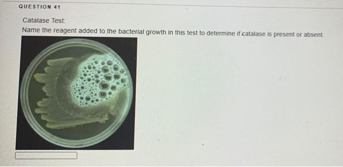 Solved QUESTION 41 Catalase Test: Name the reagent added to | Chegg.com