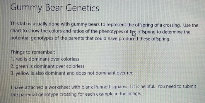 Solved Gummy Bear Genetics This lab is usually done with | Chegg.com