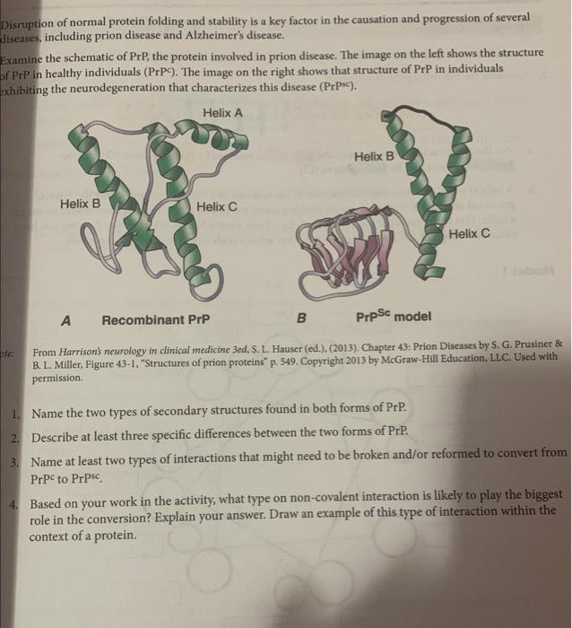 Solved Disruption of normal protein folding and stability is | Chegg.com